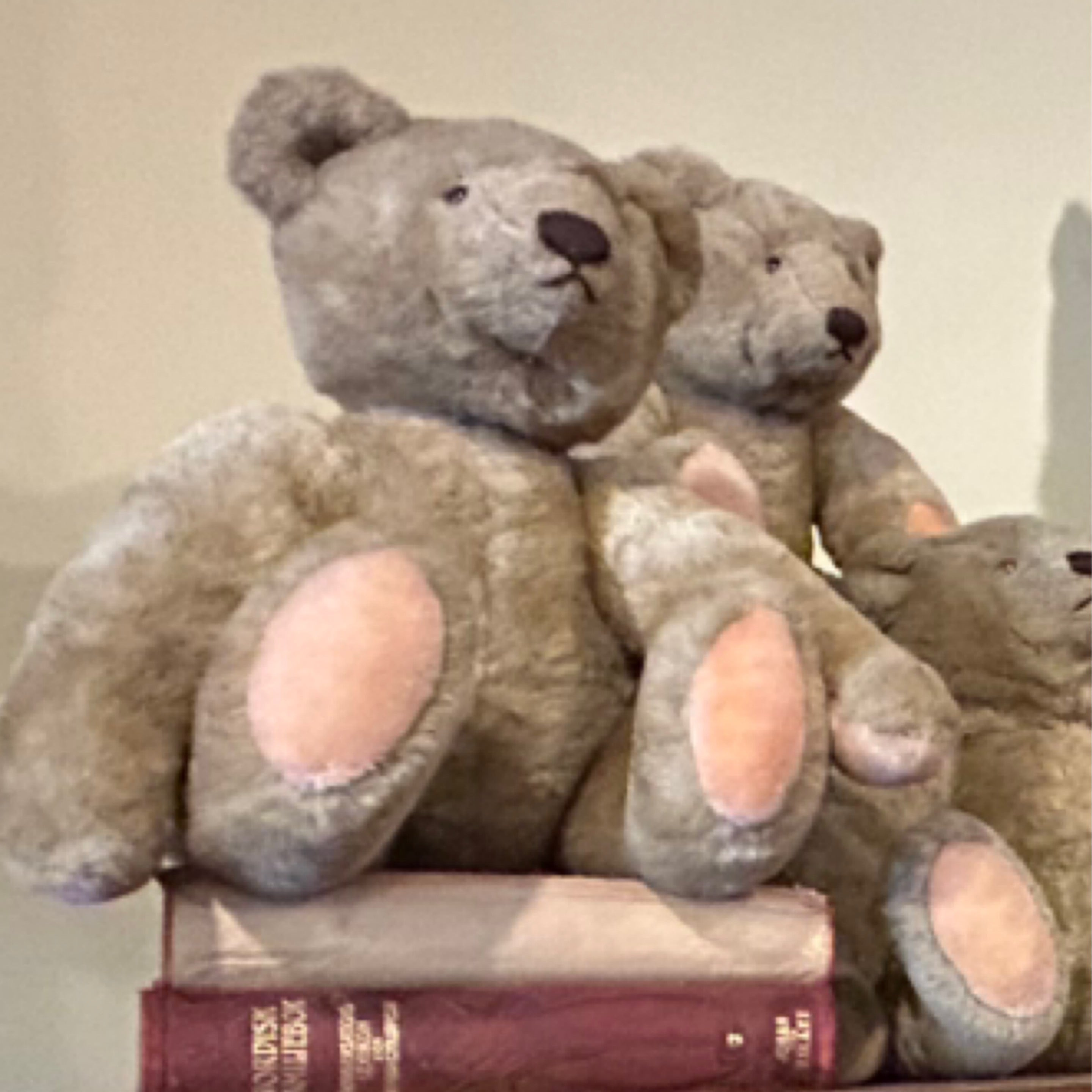 Ms Cuddles LARGE | Mystic Mercantile